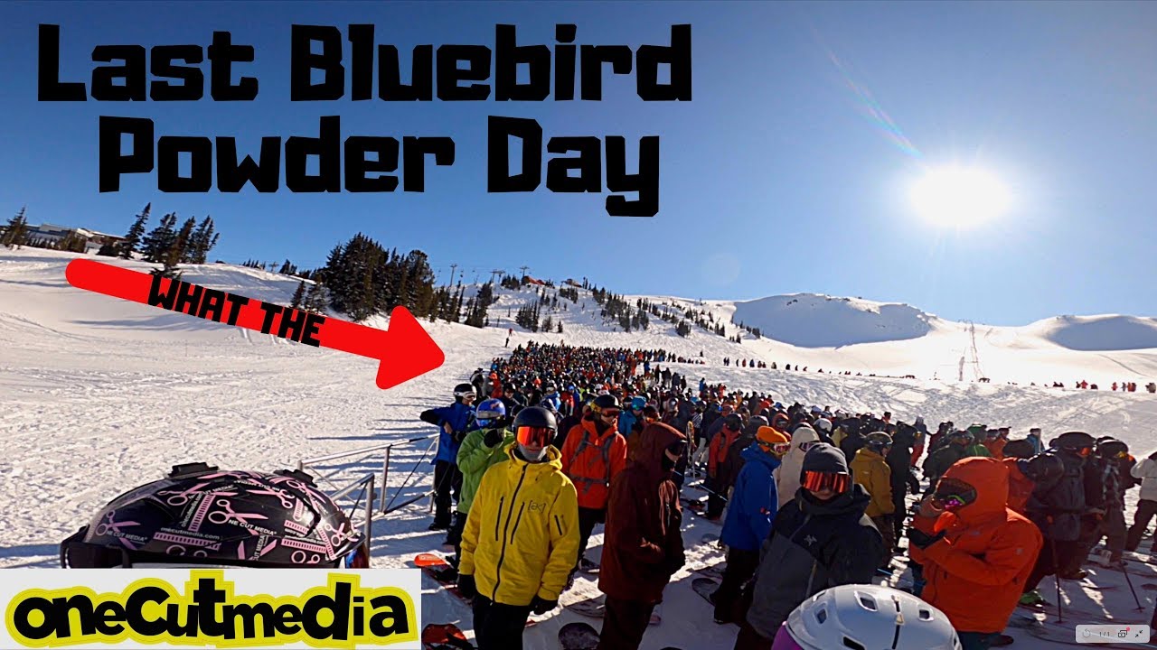 Last Bluebird Powder Day of the Season @WhistlerBlackcomb 2020 ...