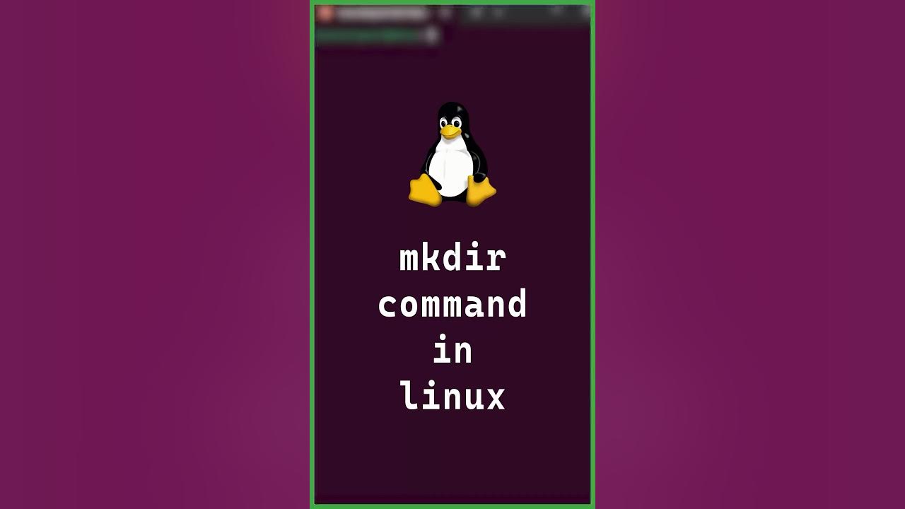 310 Basic Linux Commands Mkdir Command Shorts Linux Linuxcommands Youtube