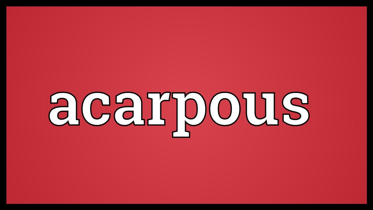 Acarpous Meaning - YouTube