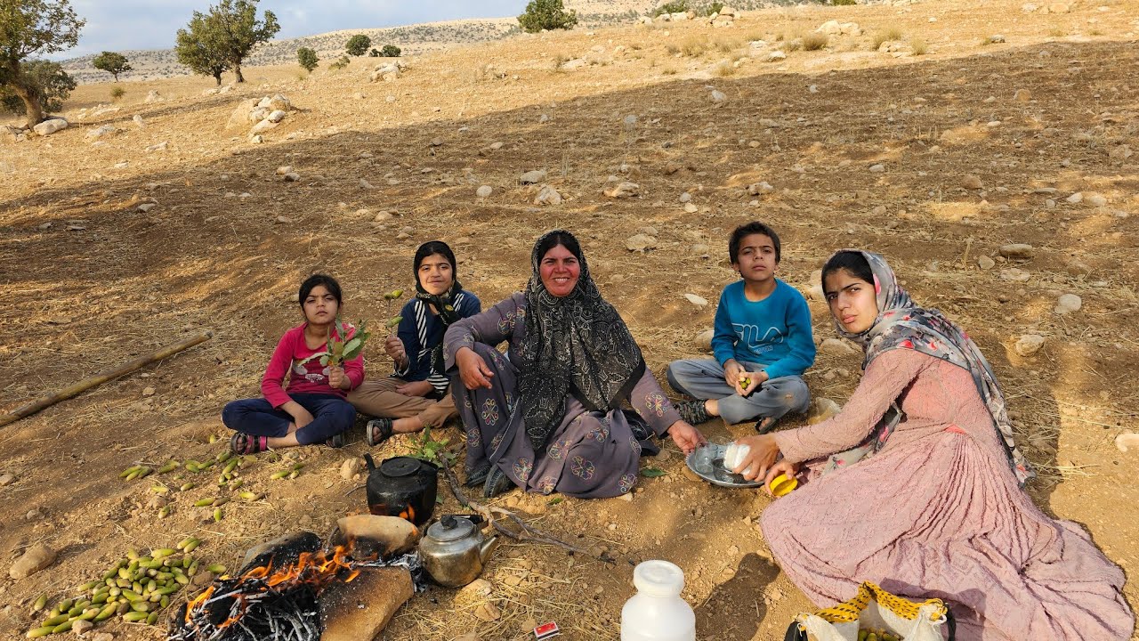 Collecting acorns and making tea and cooking acorns - YouTube