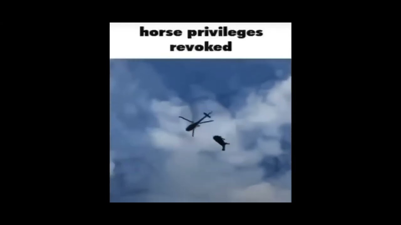 Horse Privleges... REVOKED! - YouTube