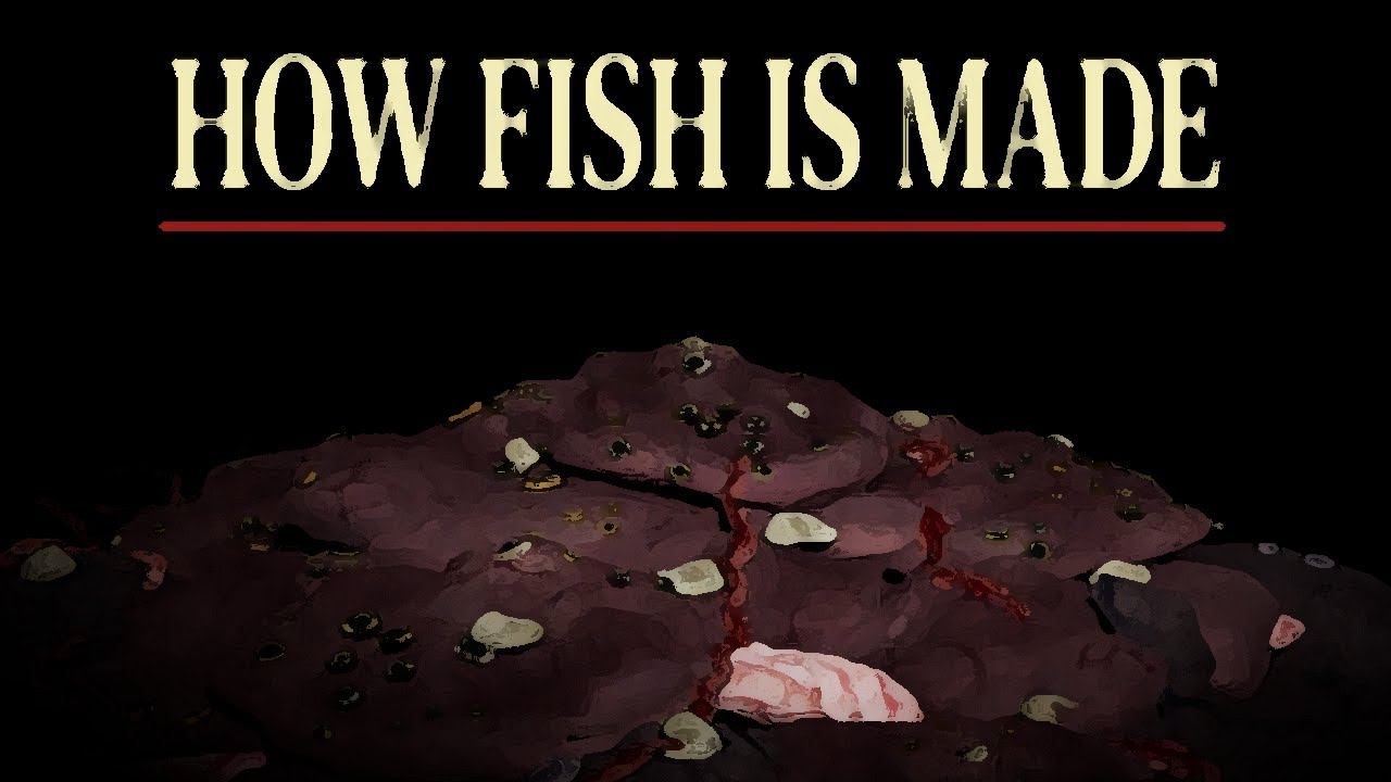 HOW FISH IS MADE - YouTube
