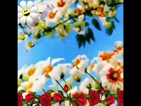 GÜLOM BENI TERKEDECEK. super