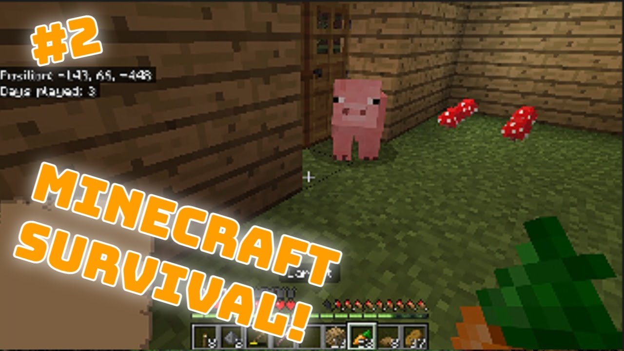 Pure survival! #2 -Ruben the pig! - YouTube