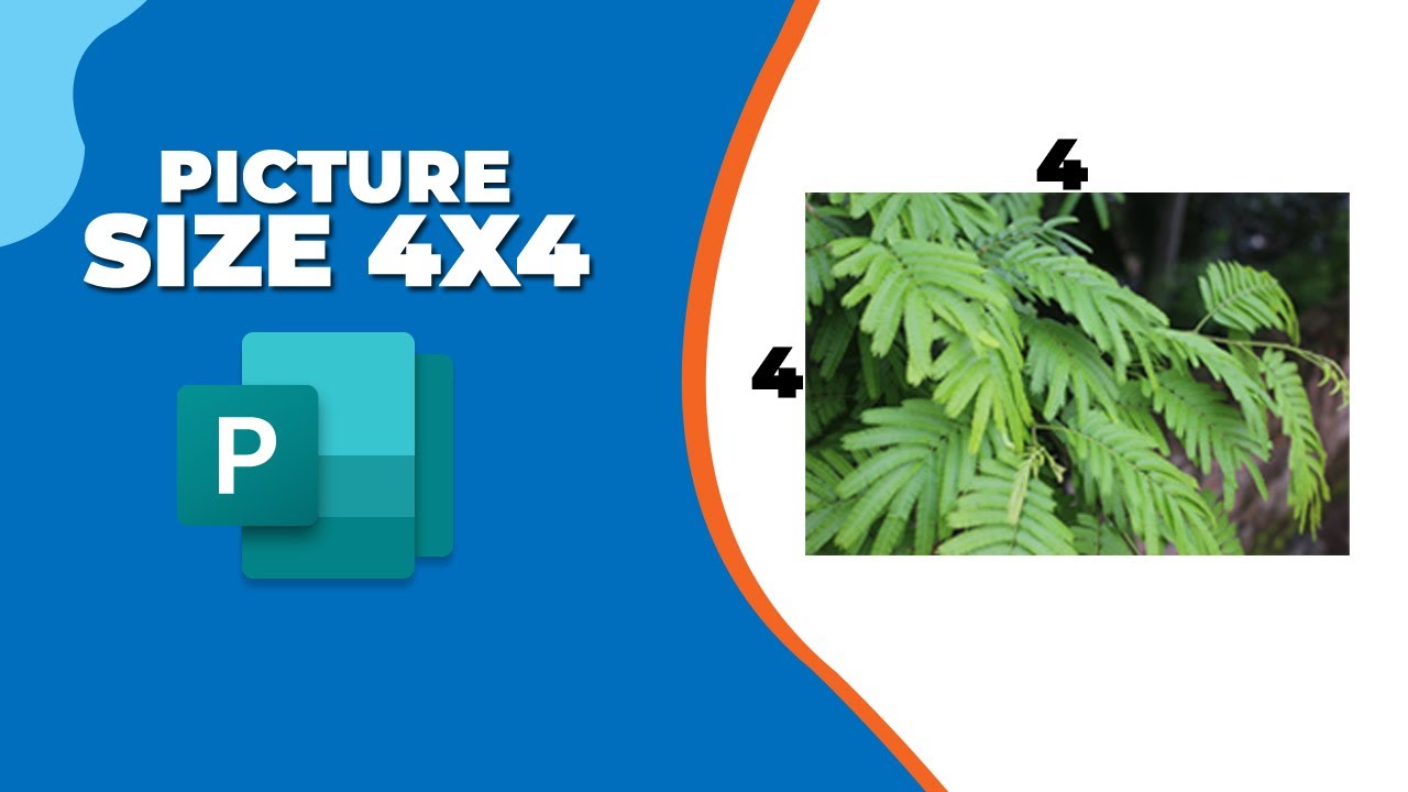 How To Make Picture Size 4x4 In Publisher YouTube
