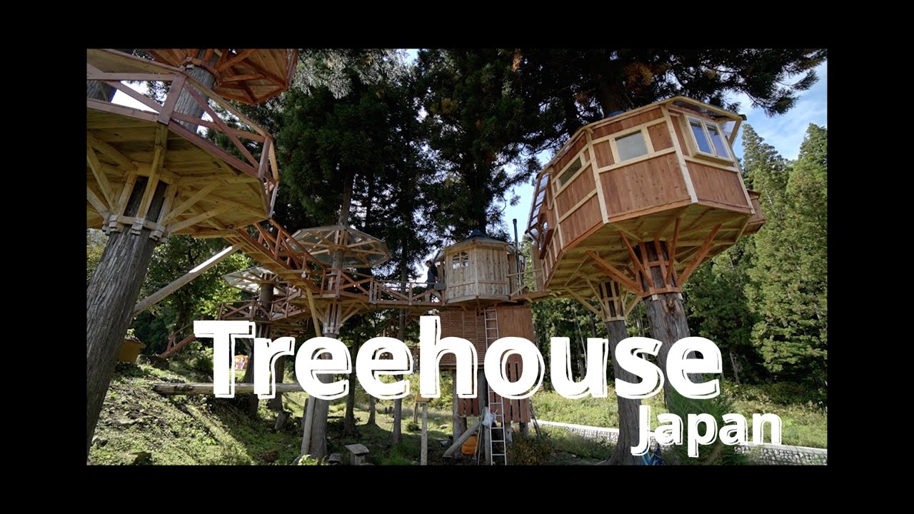 The Incredible Japanese Treehouse Inspired by Nature - YouTube