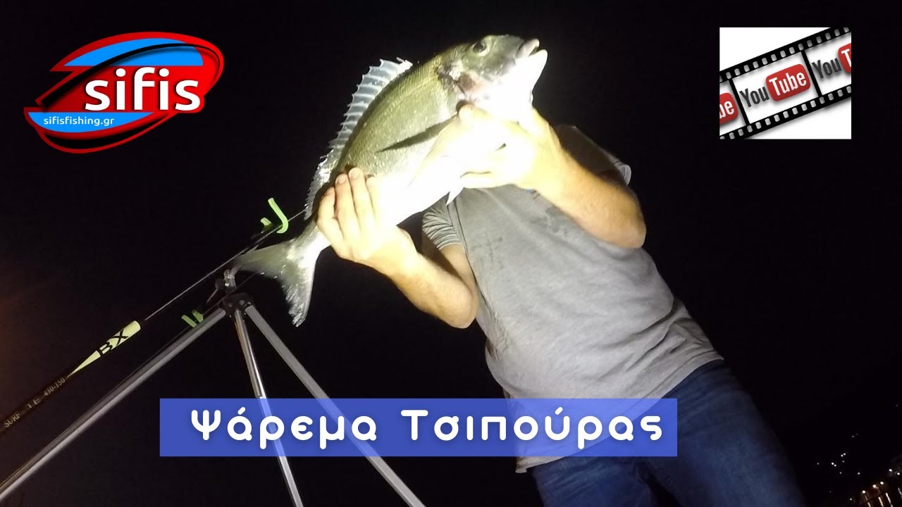 Ψάρεμα Τσιπούρας. Επιστροφή στο σπίτι... - YouTube