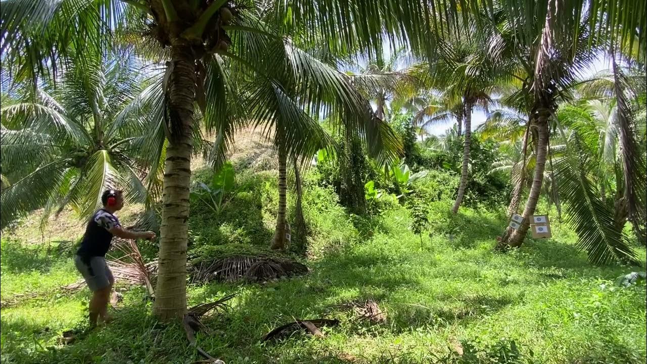 Practice Farm 6 - YouTube