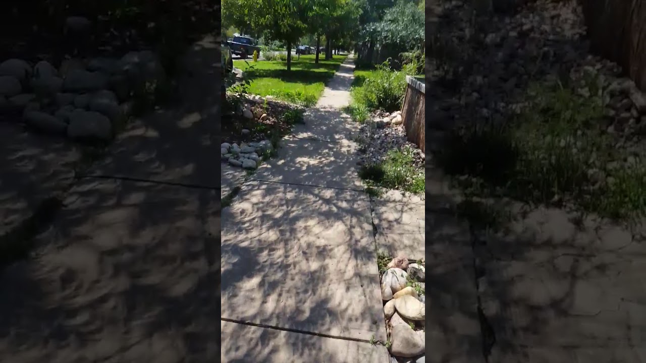 Bizarre cresent shaped shadows during eclipse - YouTube