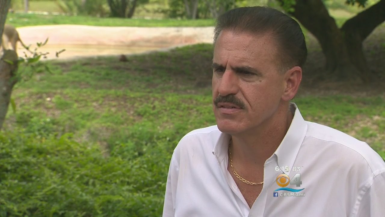 Zoo Miami’s Ron Magill Speaks About Cecil The Lion - YouTube