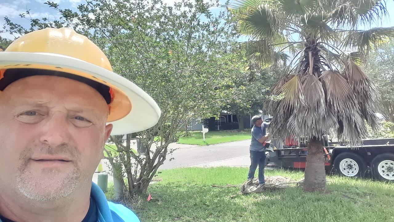 TREE SERVICE COMMERCIAL . CUSTOMER WANTS A VIEW ! SO WE GIVE IT TO THEM ...