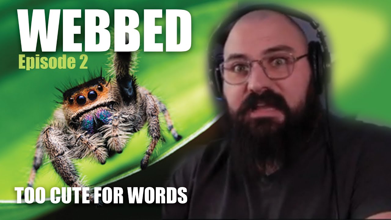 Webbed - Episode 2 - YouTube