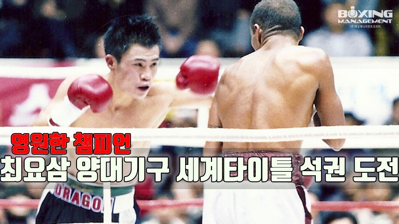 전 WBC 세계챔피언 최요삼 vs 27승(23KO) 콜롬비아 하드펀처 베이비스 멘도사 - WBA 챔피언 결정전 / Yo Sam ...