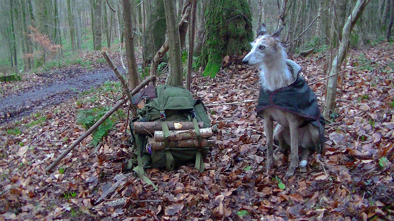 WOOD COLLECTING FOR CARVING AND SOME AXE WORK - YouTube