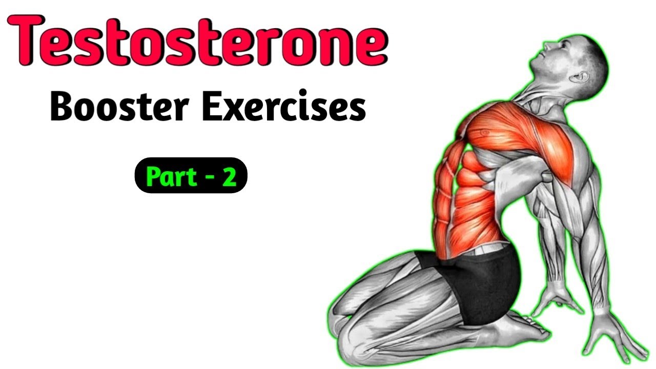 Testosterone Booster Exercises | 3 min Daily Home Workout 💯 Results ...
