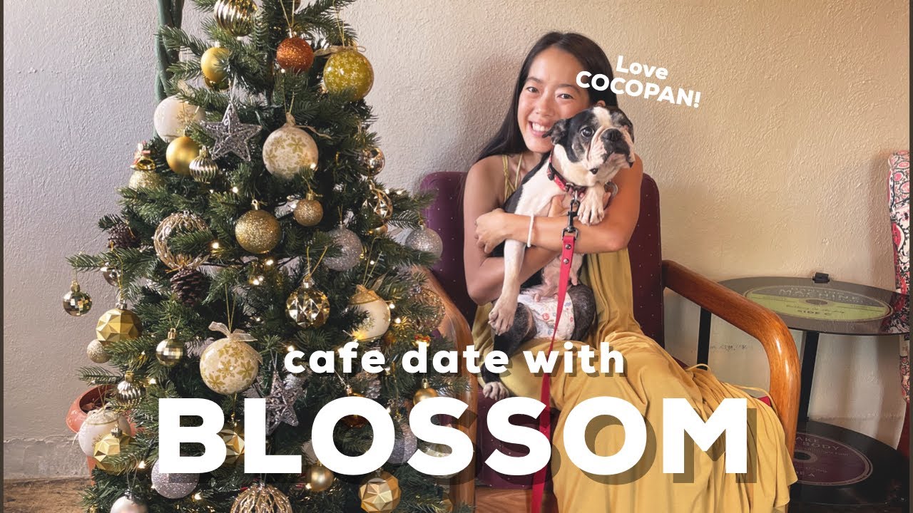 【店内ペット可】COCOPAN BAKERY with BLOSSOM - YouTube