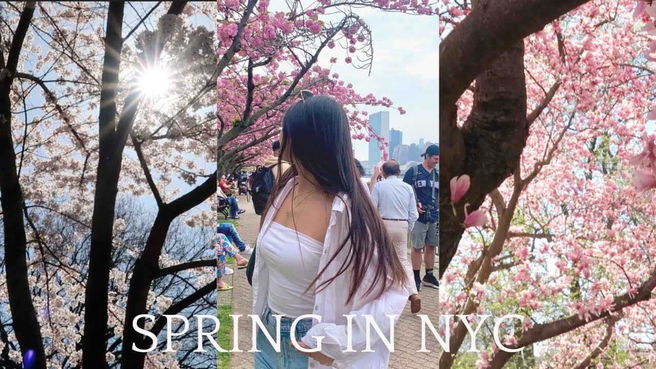 Spring in NYC | Cherry Blossoms, Roosevelt Island, Staten Island Ferry ...