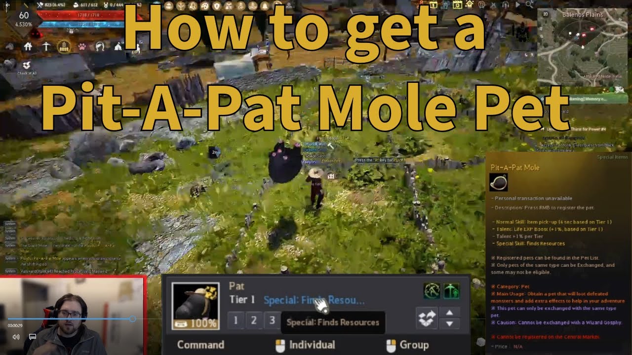 [Black Desert] How to unlock the adorable Pit-A-Pat Mole pet! - YouTube