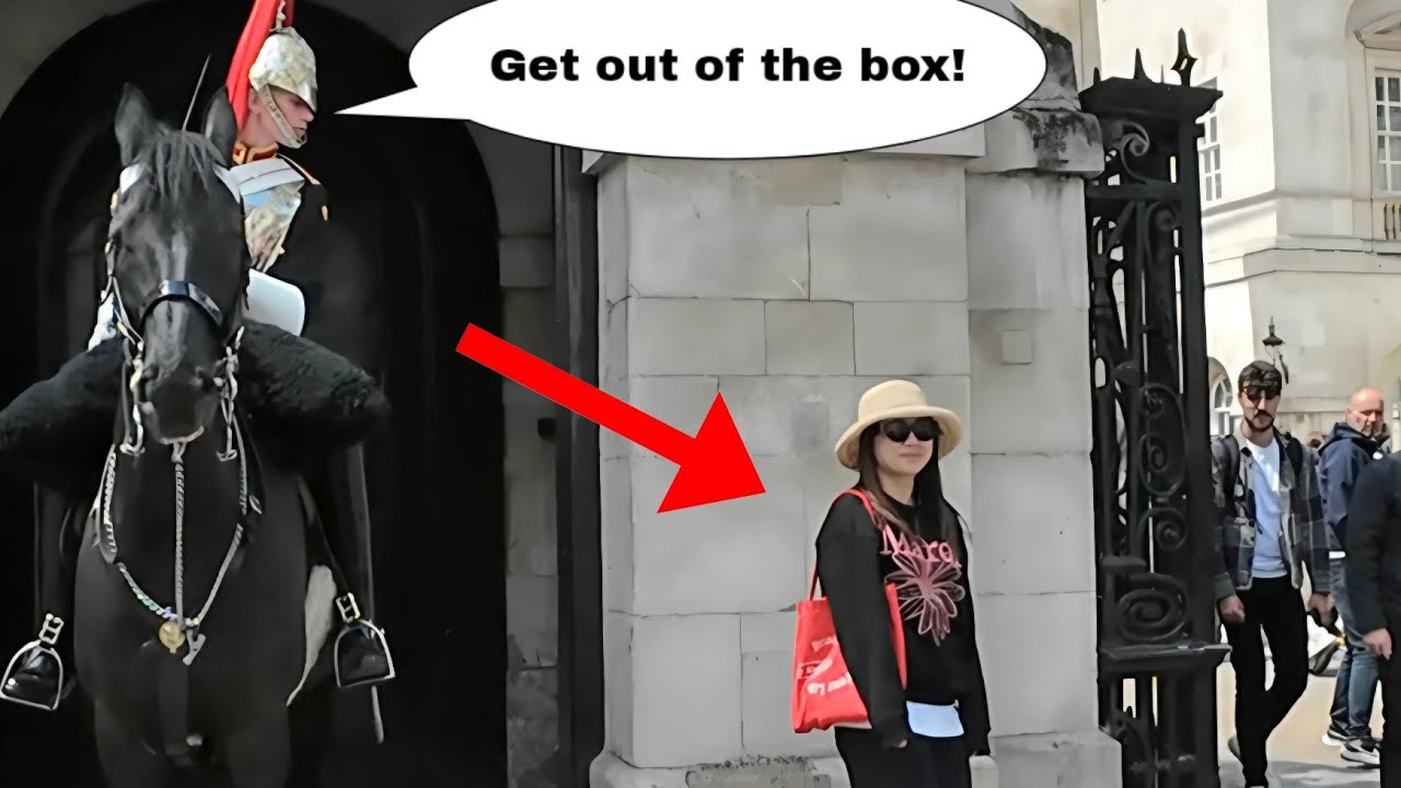 BIG MISTAKE! She stepped inside the box and got told by the King's ...