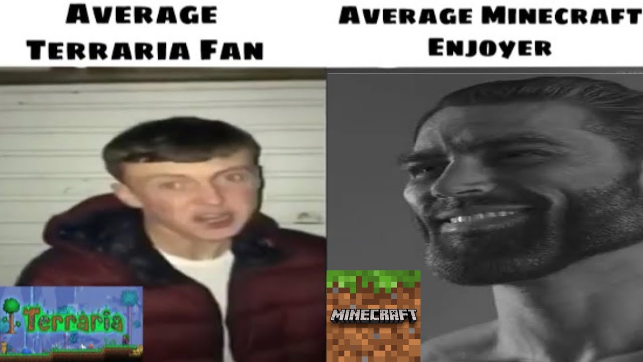 Average Terraria fan vs Average Minecraft enjoyer - YouTube