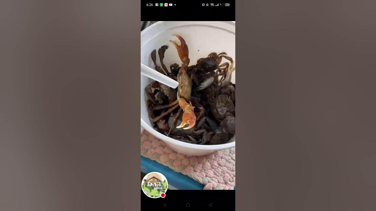 Sa aming Bakuran Vlogs is live Small Crabs - YouTube