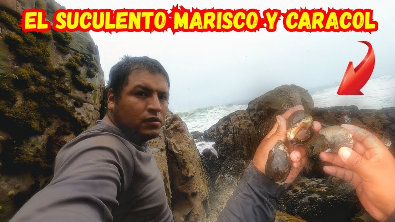 ENCONTRÉ MARISCOS Y CARACOL EN LAS PEÑAS DEL CALLAO | Tablita Fishing ...