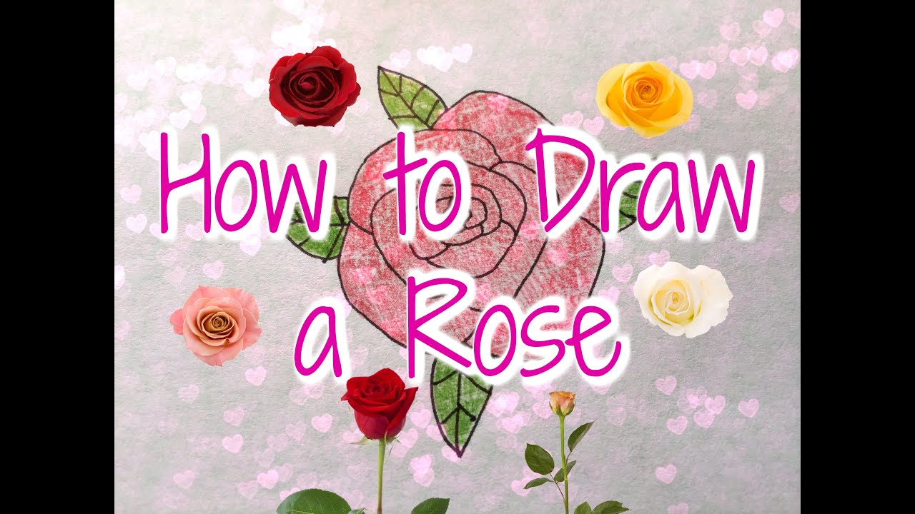 How to Draw a Rose - YouTube