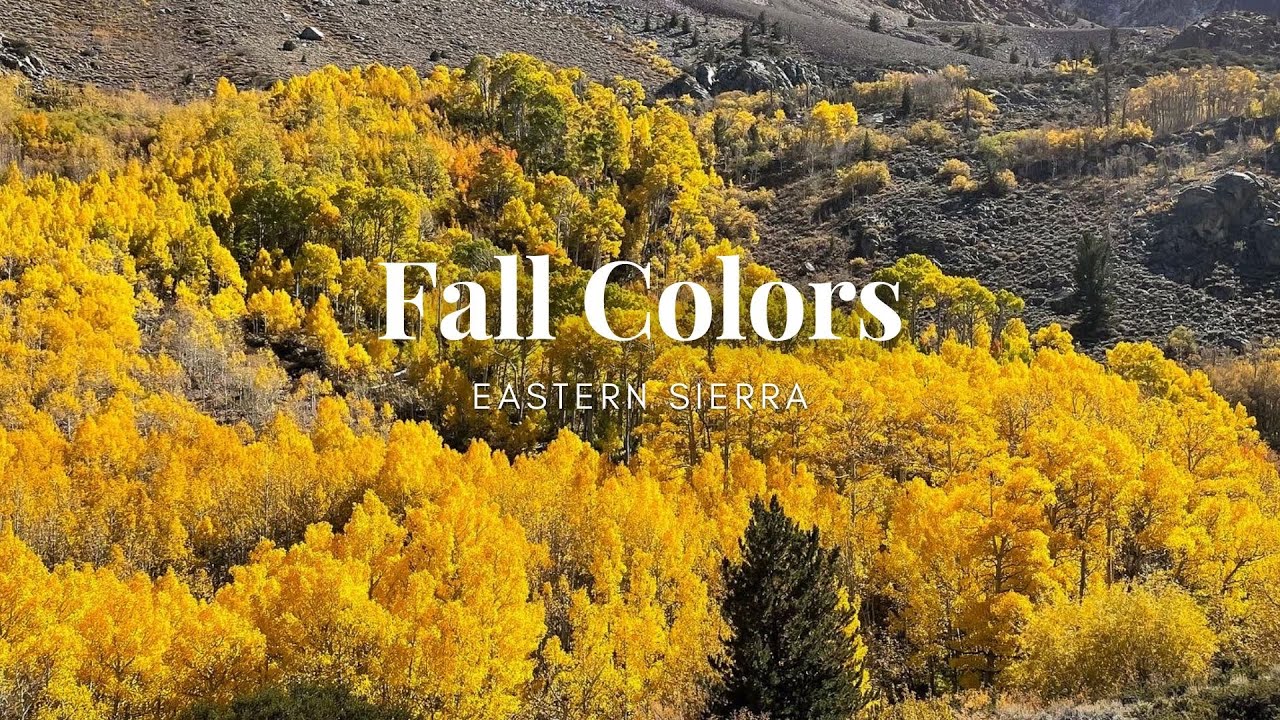 Fall Colors in the Eastern Sierra - YouTube