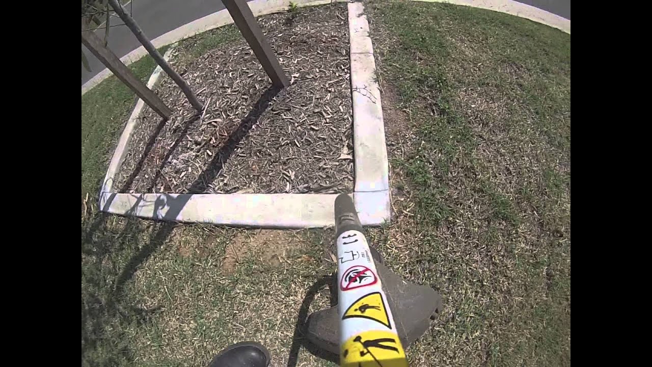 Whipper Snip 221114 - YouTube