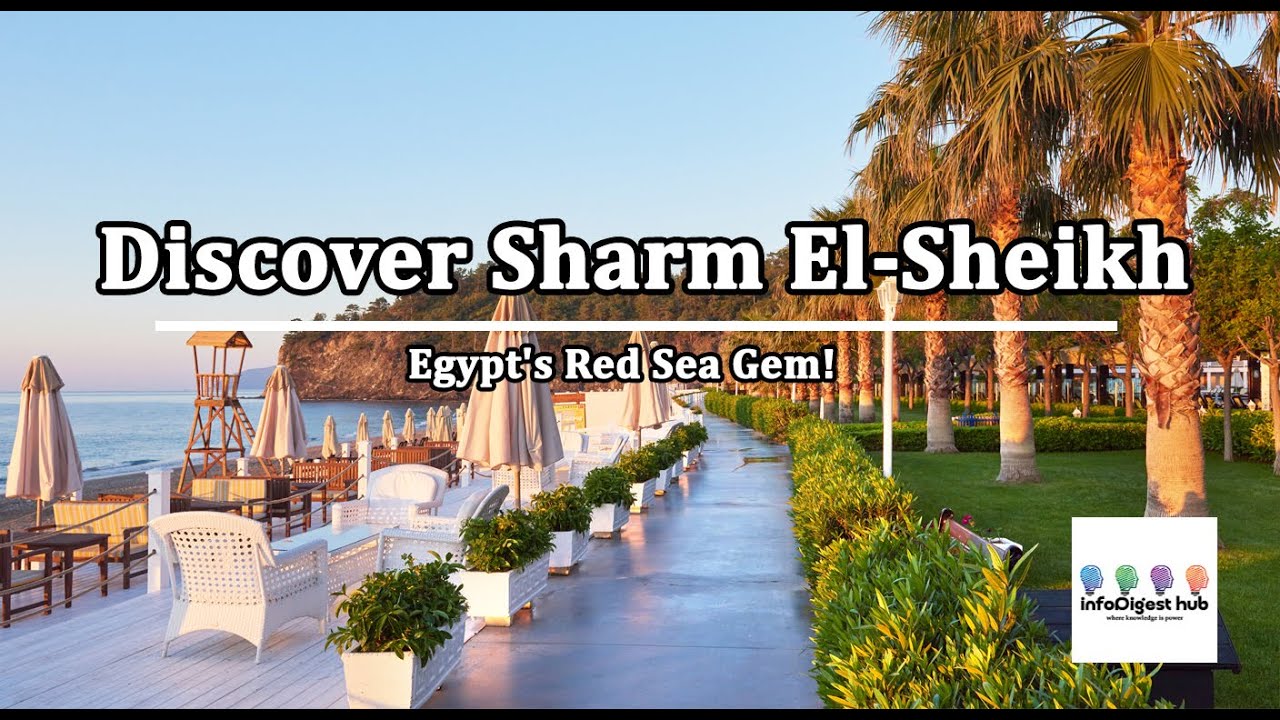 🌴Discover the REAL Secrets of Sharm El-Sheikh's Red Sea Paradise - YouTube
