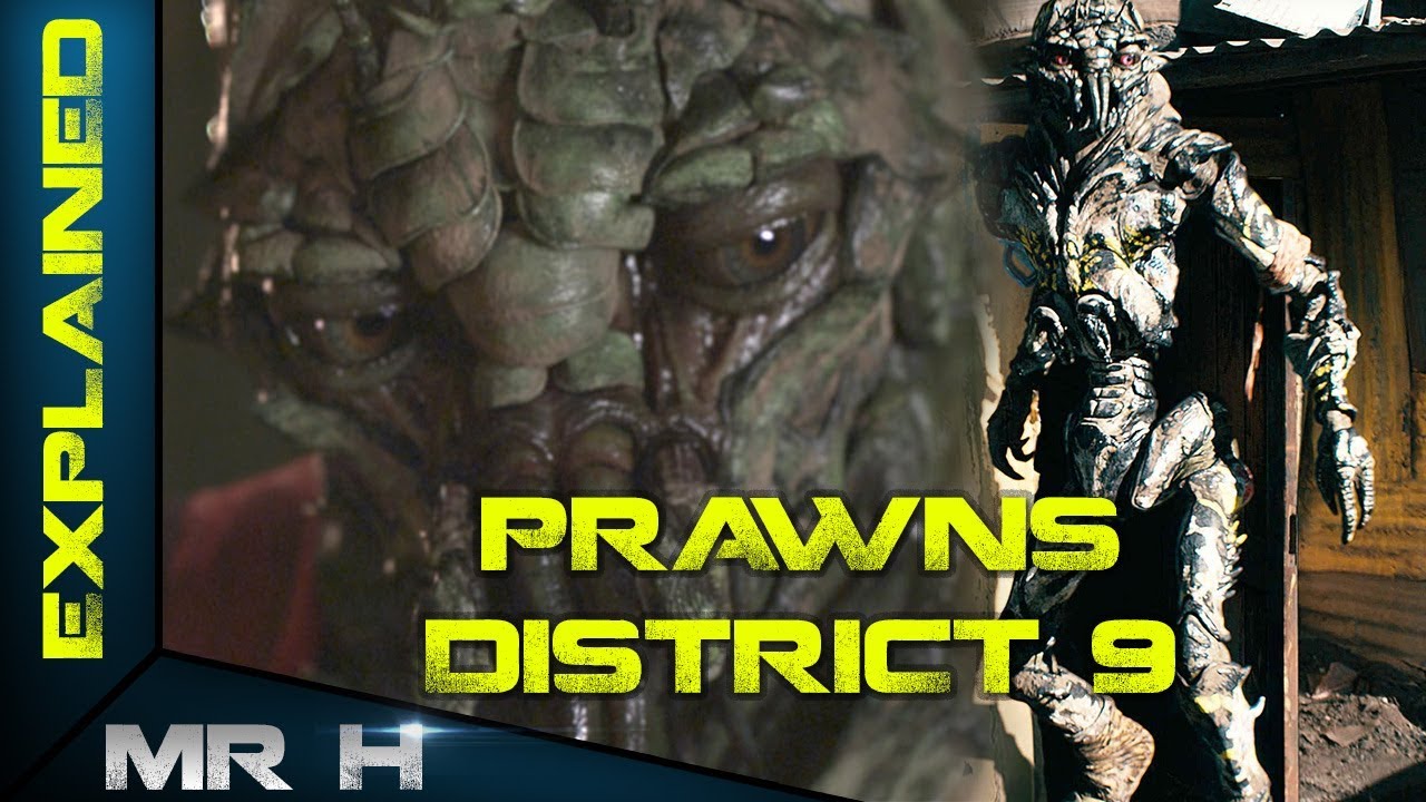 Prawn District 9
