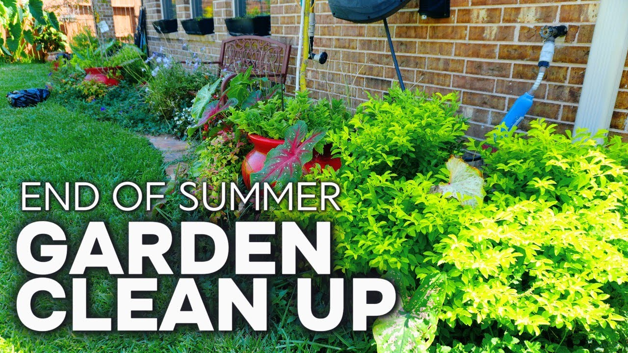 Summer's Over! Watch Me Clean Up My Garden Bed & Get It Ready For Fall ...