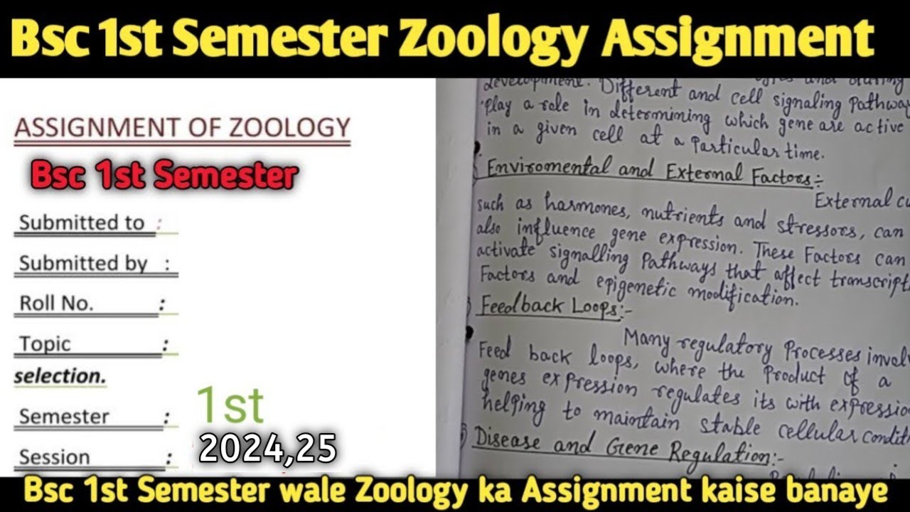 Bsc 1st Semester Zoology Assignment Kaise banaye || Zoology Assignment ...