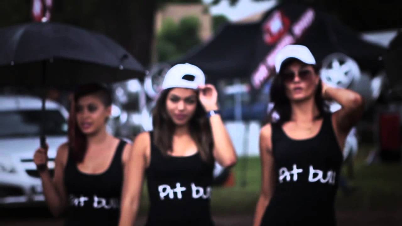 The Pit Bull Energy Experience - YouTube
