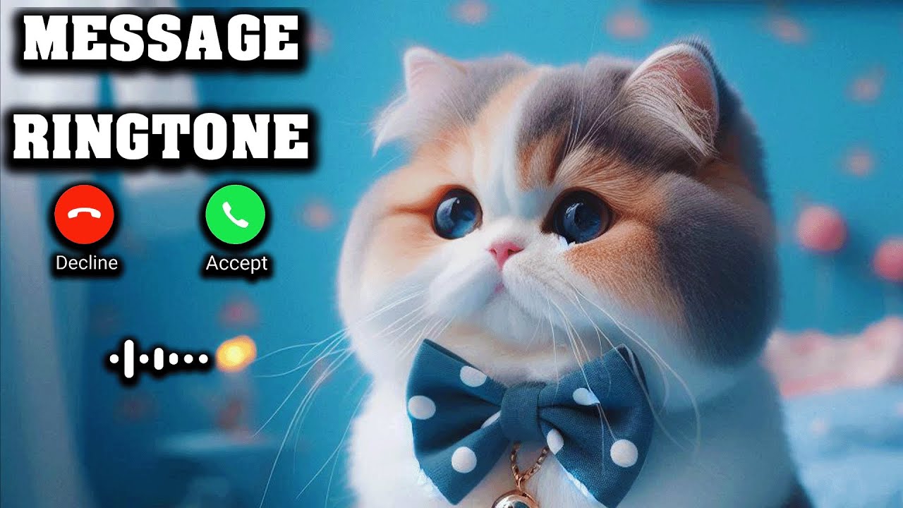 Notification Ringtone | Alarm Ringtone | Message Ringtone | SMS ...