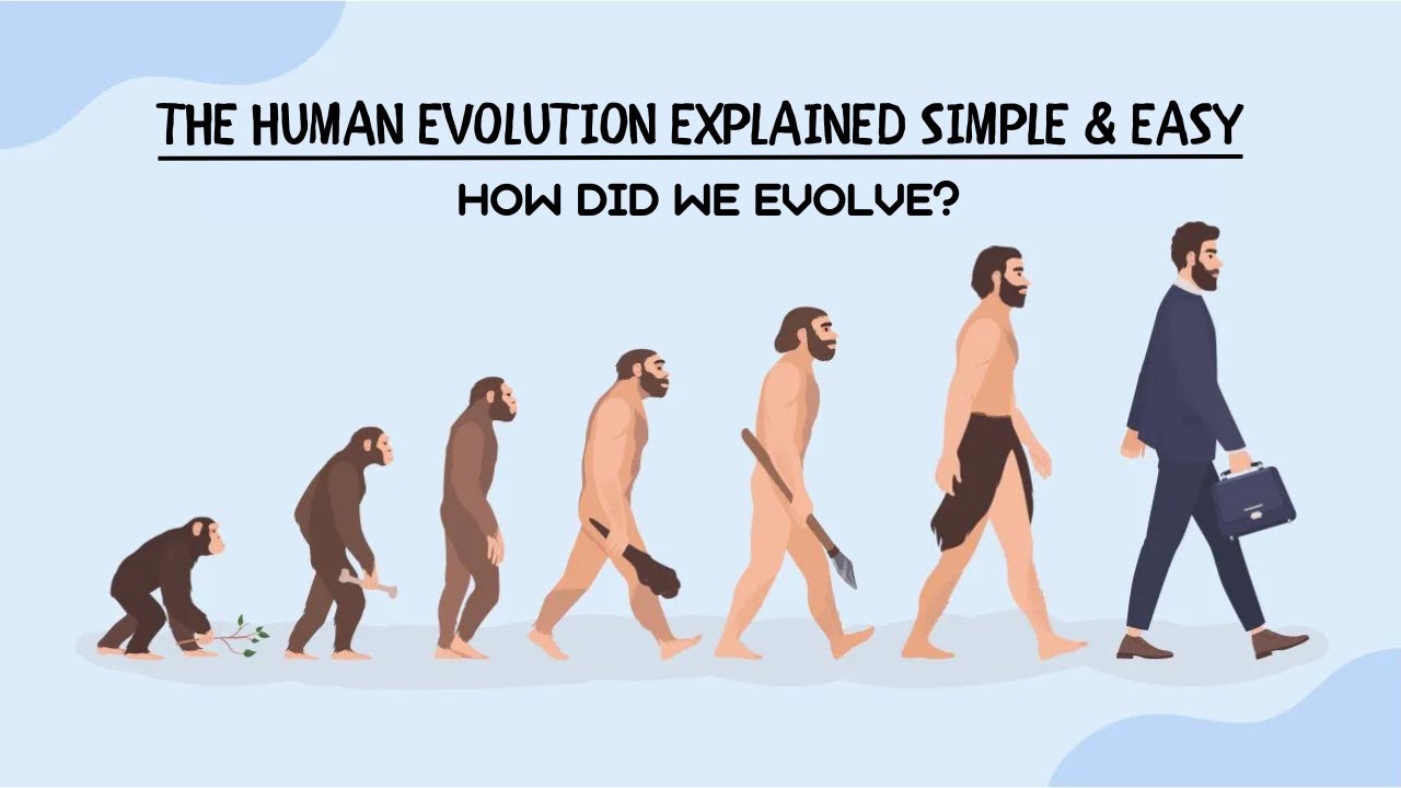 The Entire Human Evolution Explained in Under 6 Minutes! - YouTube