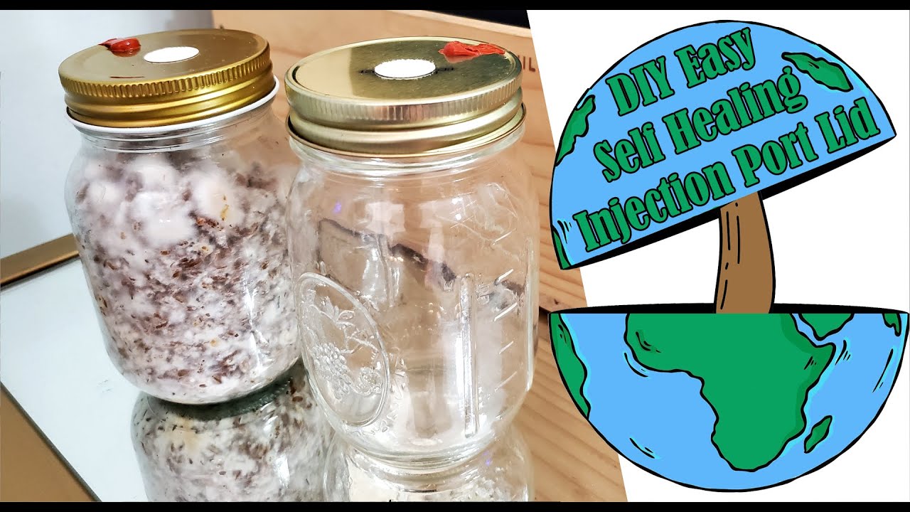 Easy DIY Liquid Culture / Grain Jar Lid With Self Healing Injection ...