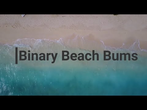 Binary Beach Bums - NASA Space Apps Cairo 2023 - YouTube
