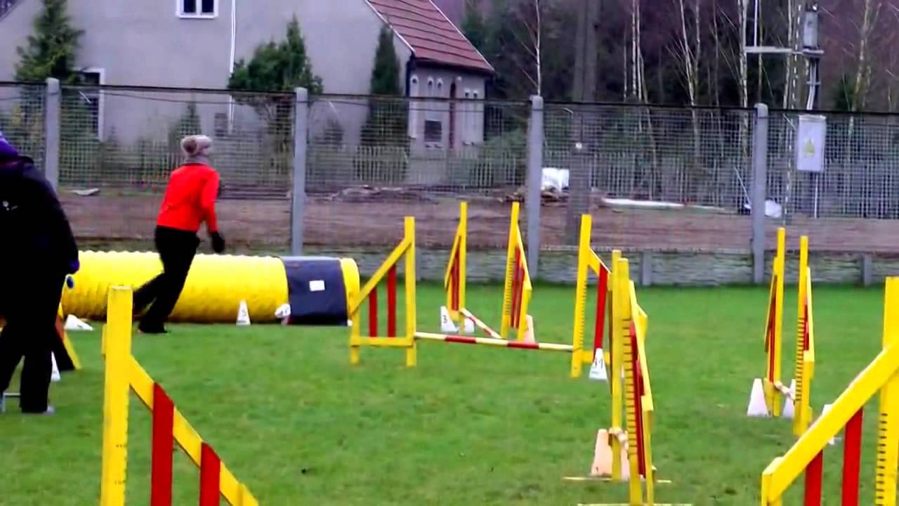 DUNDEE D'HEREFORD Diabelskie Rozdroże & SCOTT D'SHARK Z kojca coli ...