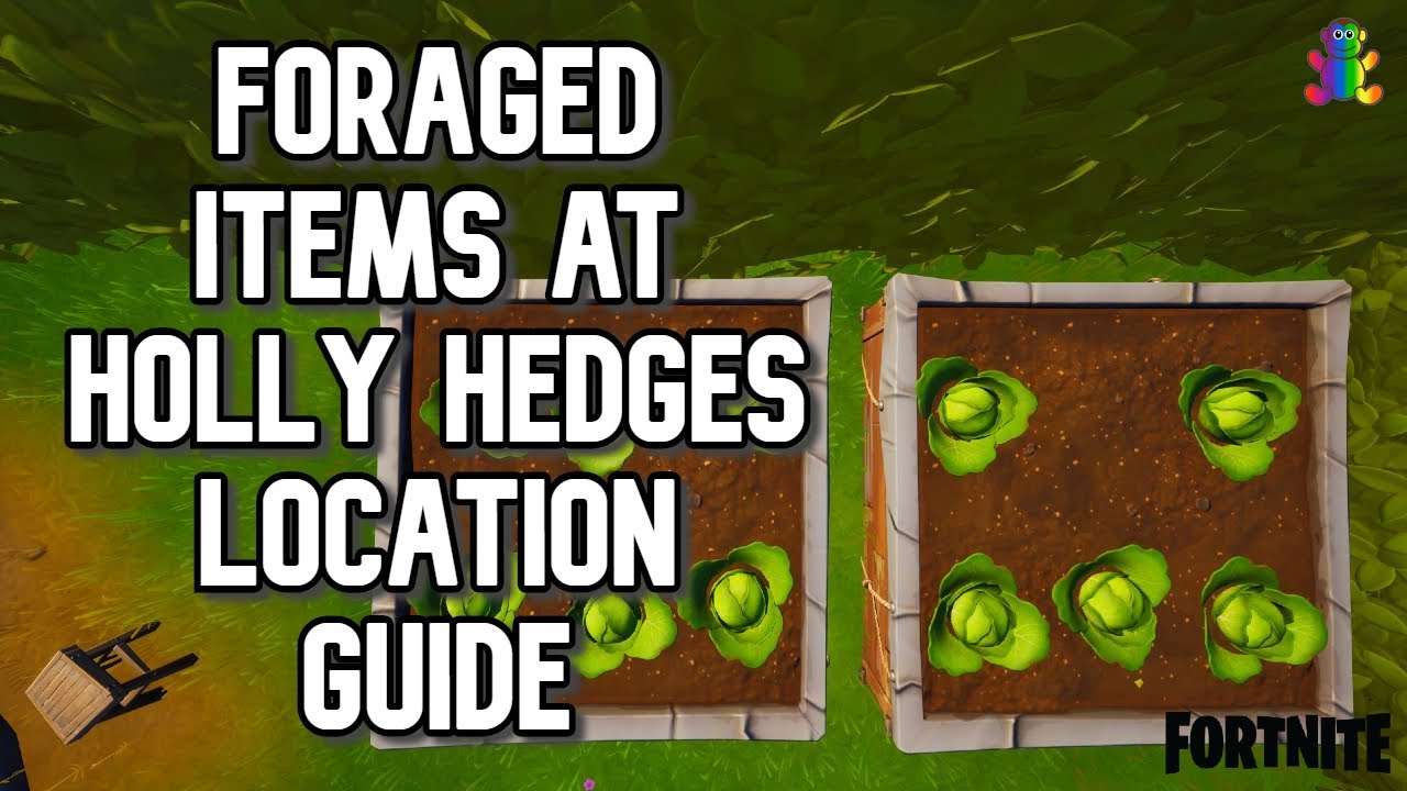 Where to Find Foraged Items at Holly Hedges to Consume - Fortnite - YouTube