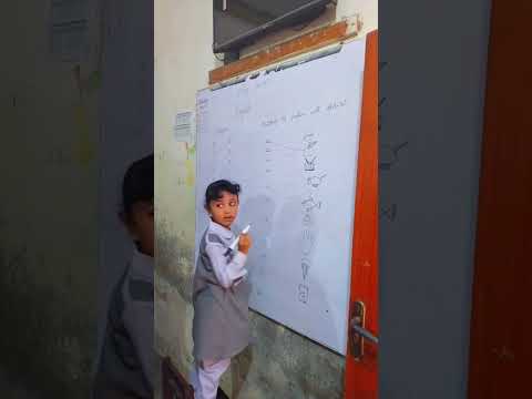 PG class activity - YouTube