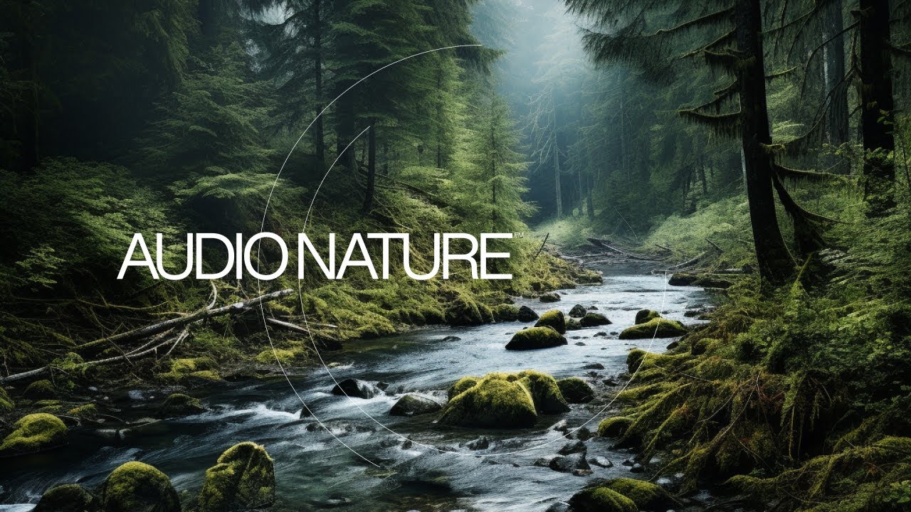 AUDIO NATURE VOL.1 - RELAXING NATURE SOUNDS FOR DEEP SLEEP MEDITATION ...
