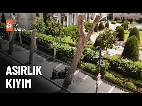 Tarihi caddede ağaç kalmadı - atv Ana Haber 23 Temmuz 2026