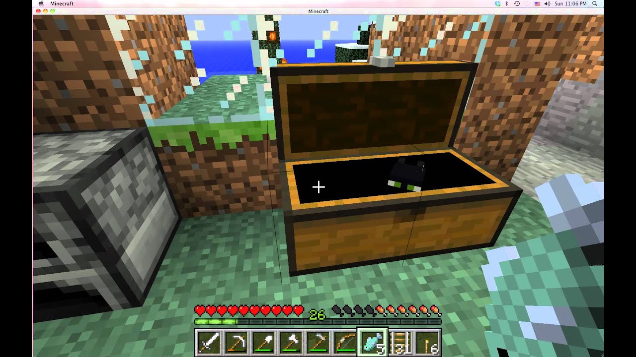 Minecraft - Cat In Chest - YouTube