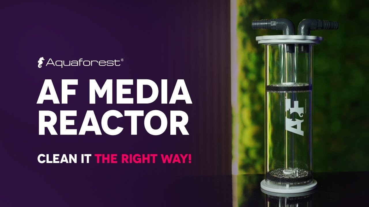 How to Maintain AF Media Reactor - YouTube