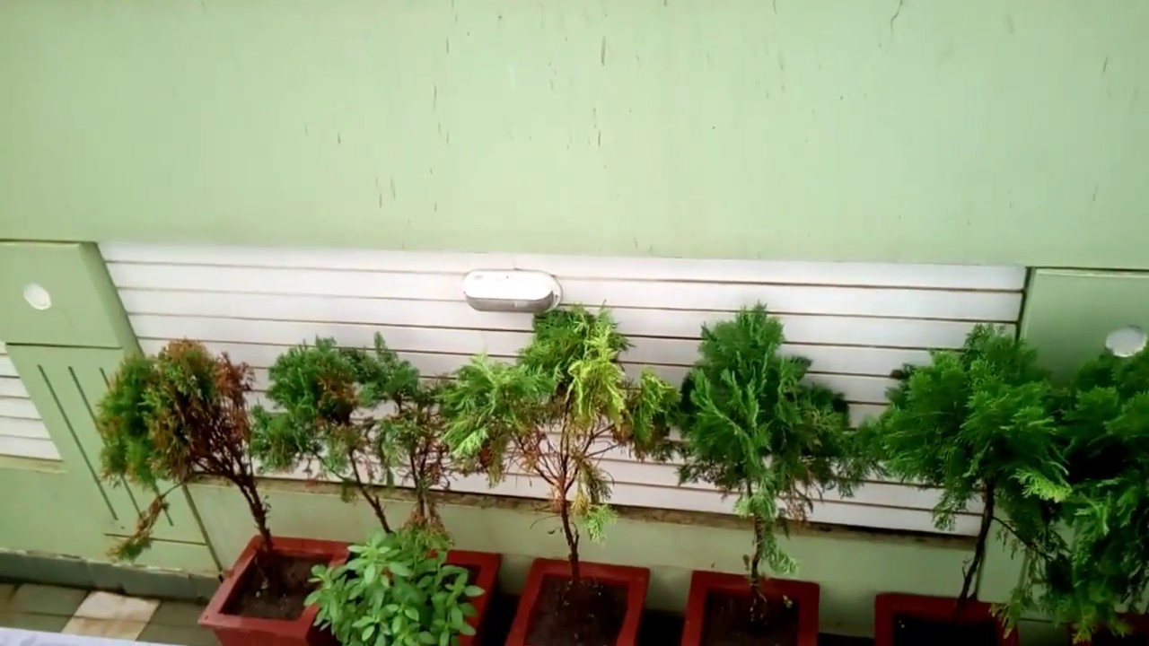 Indoor and Outdoor view of Reba Beach Resort, Puri - YouTube