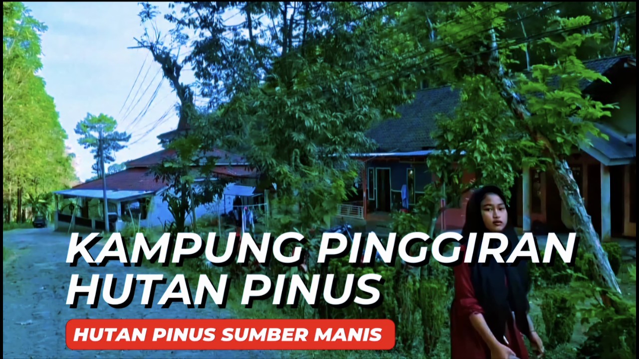 KAMPUNG PINGGIRAN HUTAN PINUS SUMBER MANIS I KEHIDUPAN PEDESAAN MASUK ...