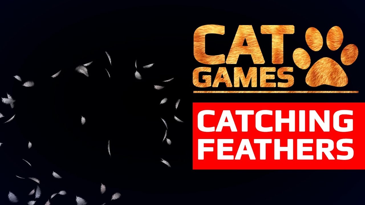 CAT GAMES - 😺 CATCHING FEATHERS (ENTERTAINMENT VIDEOS FOR CATS TO WATCH ...