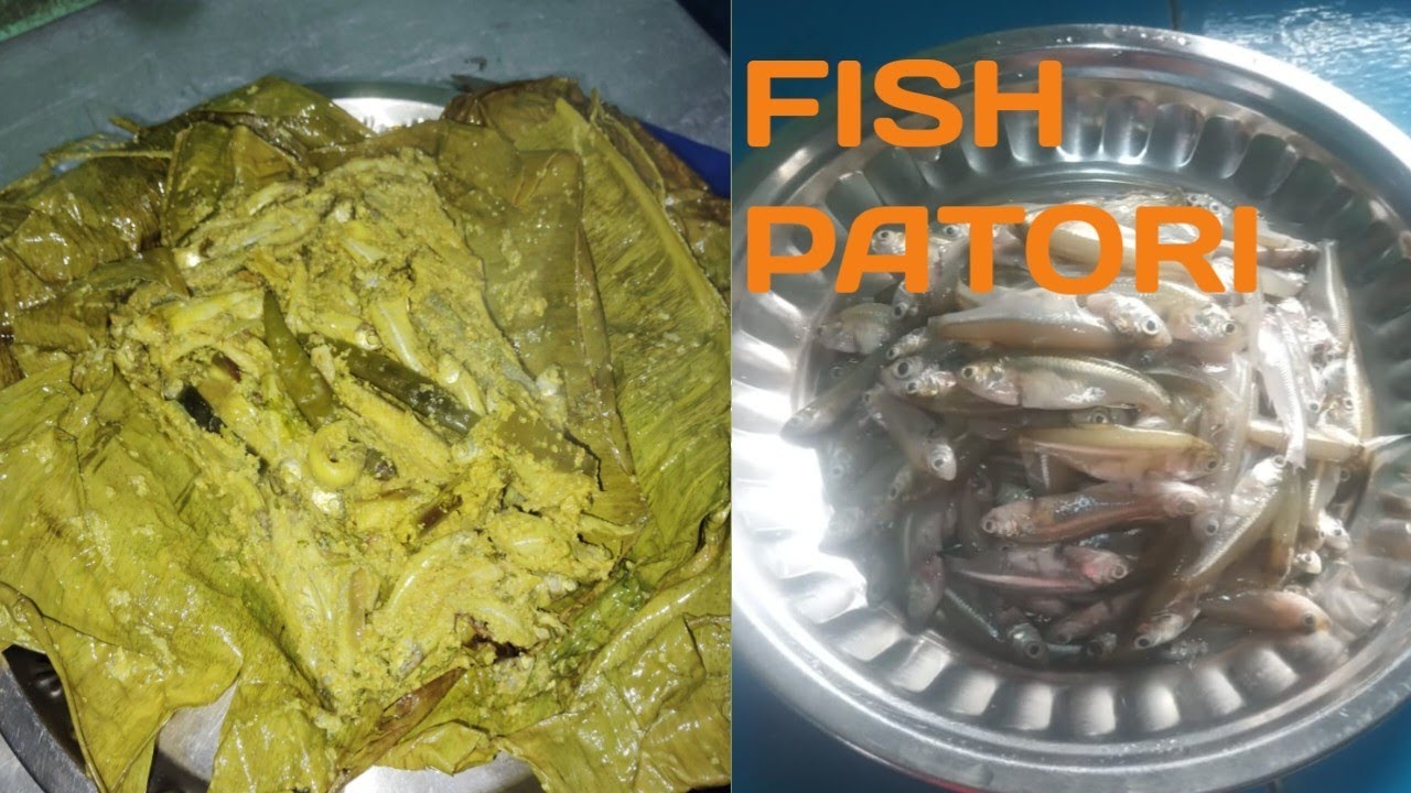 FISH#PATORI#FISH#VAPAA - YouTube
