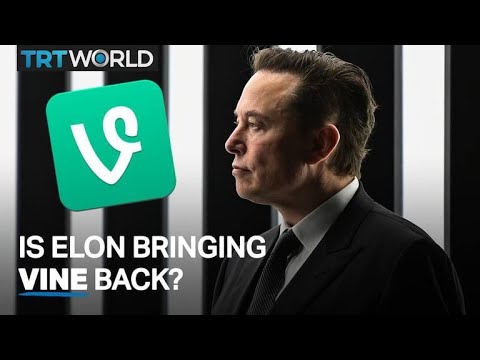 Is Elon Musk bringing Vine back? - YouTube